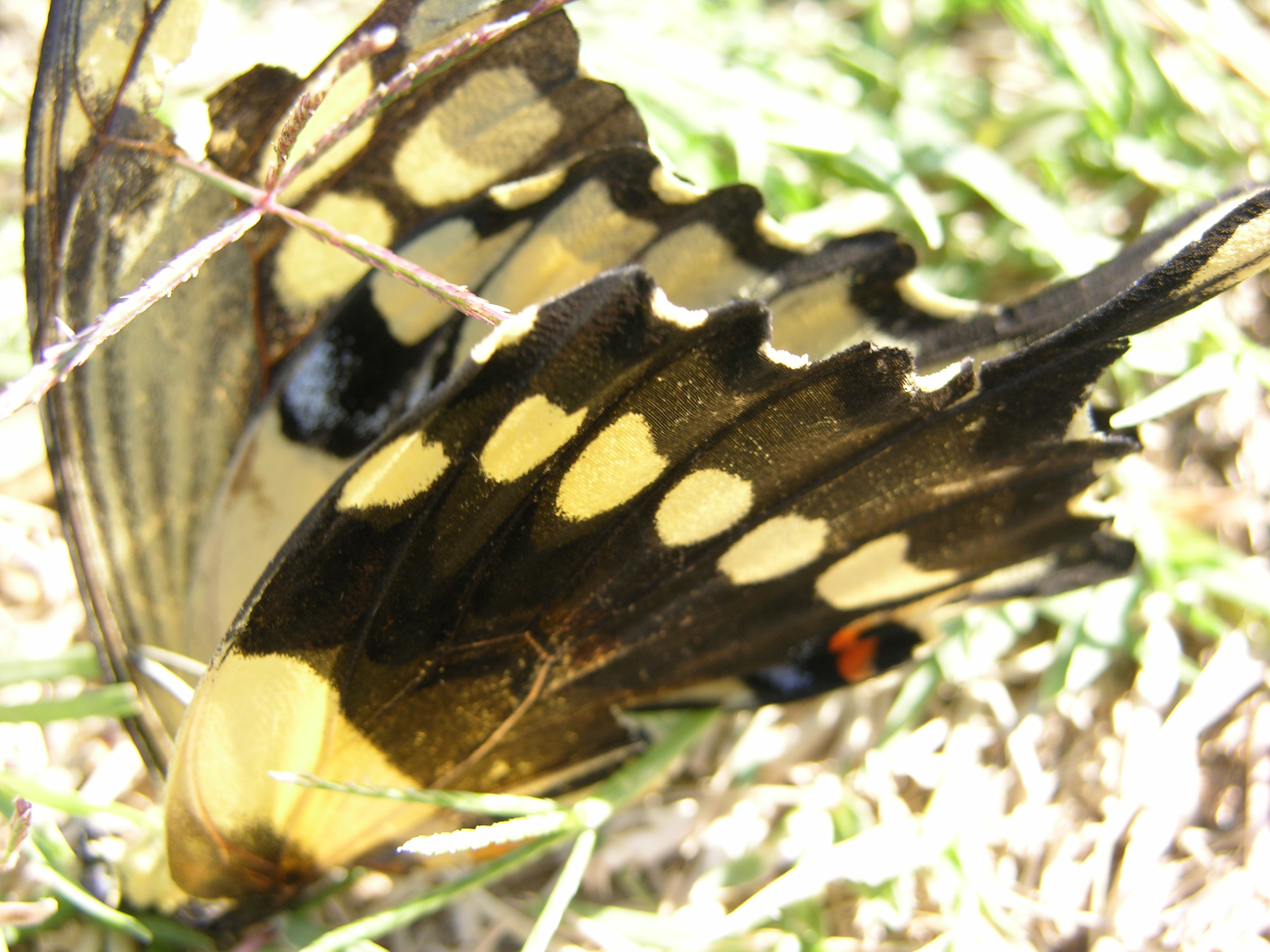 Transformations | Write about what?