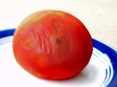 Nowhere near practically perfect | Write about what?